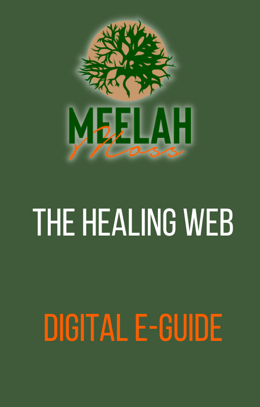 The Healing Web Digital E-Guide – Meelah Moss